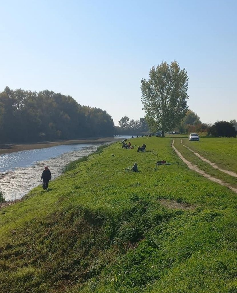 Plan manifestacija 2023 SRD “Šaran” Vajska - Telegraf.rs