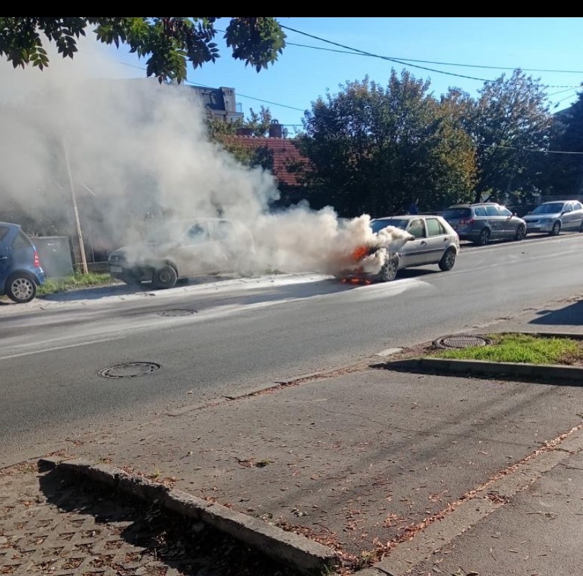 Gori automobil u Borči: Kulja gusti dim, vatrogasci na terenu - Telegraf.rs