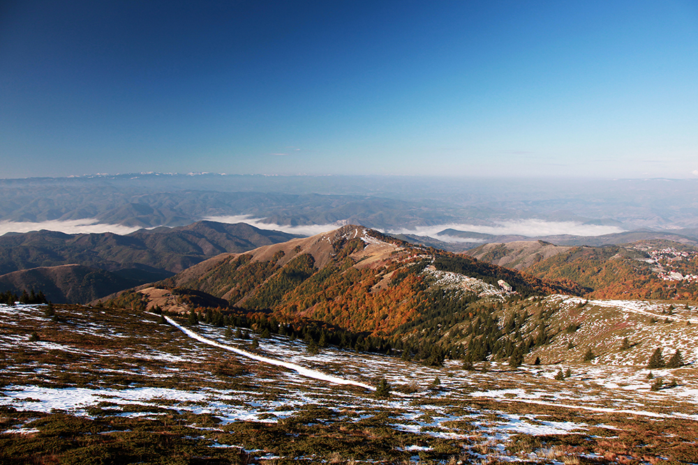 Pančićev vrh nije oduvek nosio naziv po slavnom botaničaru: "Krov ...