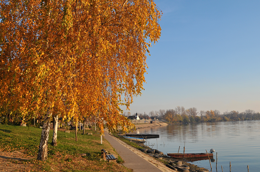 Magnificent fall colors along the Tisa near Novi Becej: A town made ...