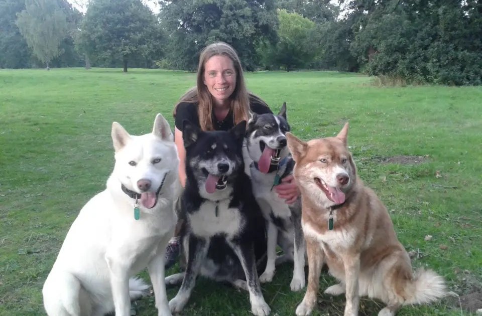 Beba haski ubistvo roditelji - Telegraf.rs