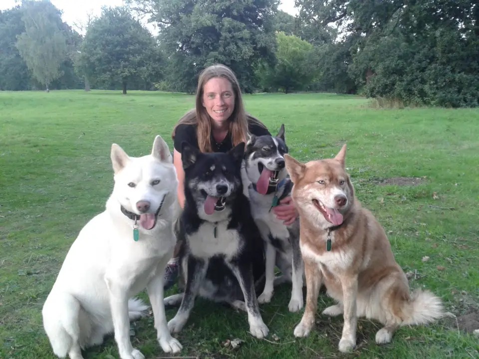 Beba haski ubistvo roditelji - Telegraf.rs