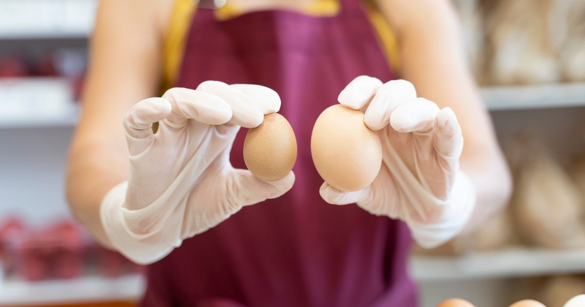 Kakva su organska jaja? - Telegraf Biznis