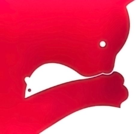 Optička iluzija: Koju ste životinju prvo ugledali na slici? - Telegraf.rs