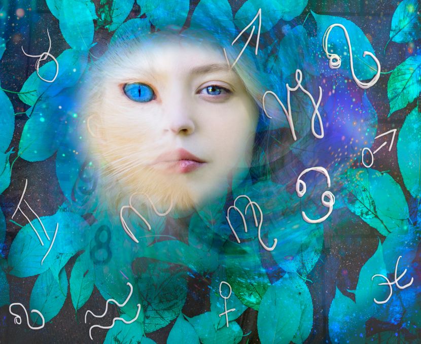 Rasa mačke na osnovu horoskopskog znaka vlasnika - Ljubimci Telegraf