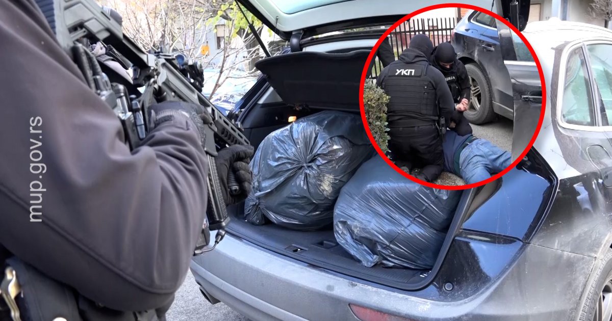 2 arrested in Borca, 44 kilos of drugs seized - Telegraf.rs