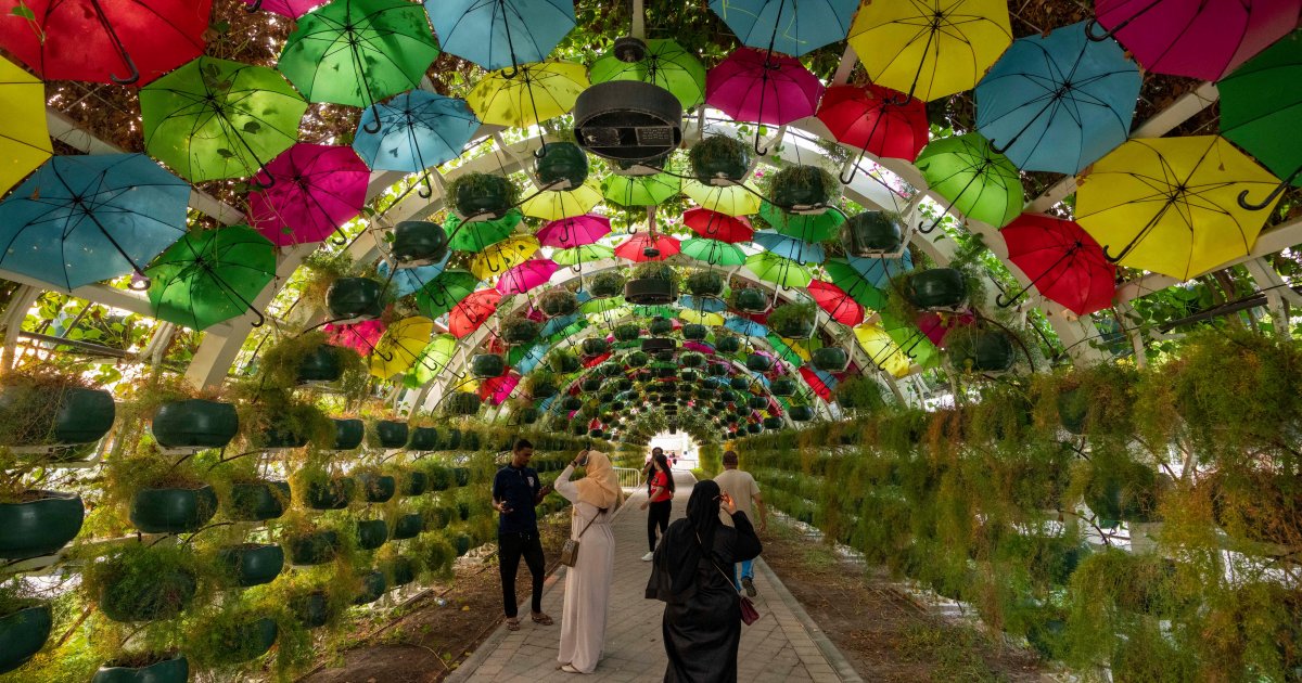 Katar grad Doha fotografije života u gradu - Telegraf.rs