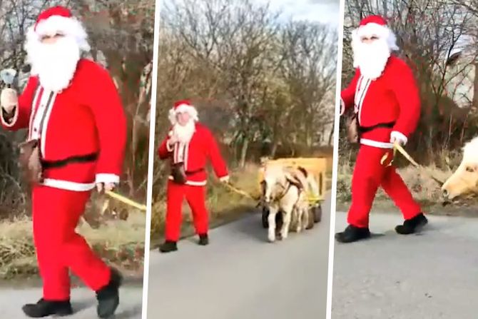 Hit odgovor Deda Mraza iz Borče na pitanje da li će biti poklona za ...