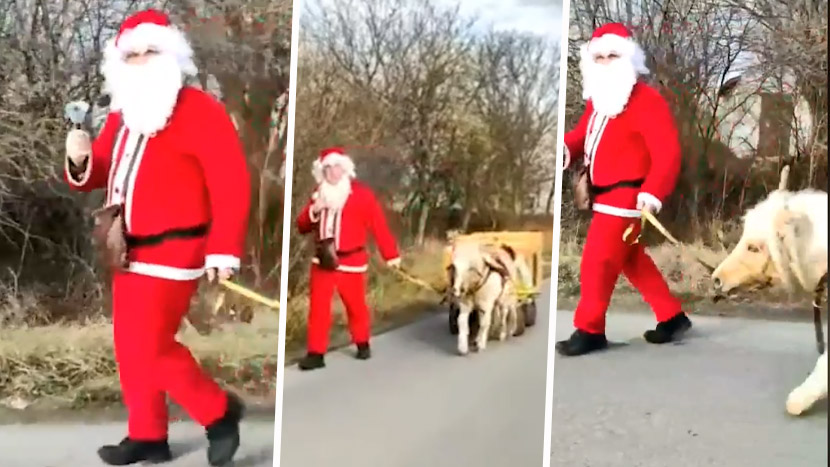 Hit odgovor Deda Mraza iz Borče na pitanje da li će biti poklona za ...