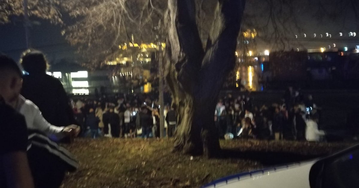 Tone splav "Freestayler" - Telegraf.rs