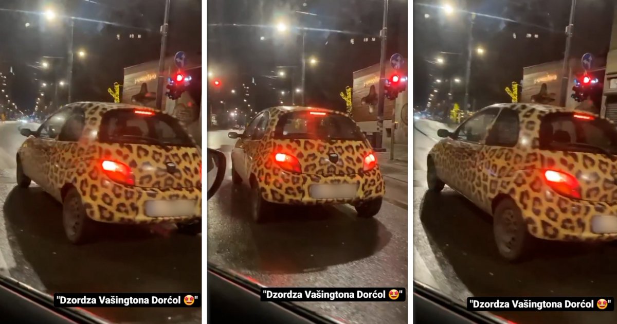 Tigrasti automobil snimljen u Beogradu - Telegraf.rs