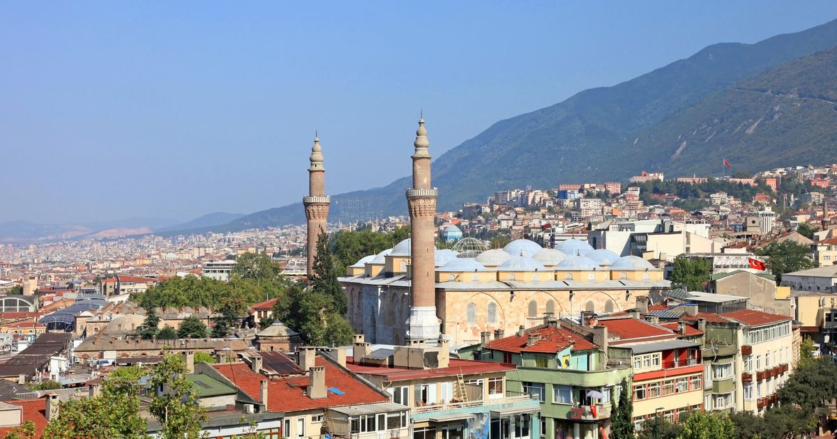 Najstarije drvo u Turskoj nalazi se u gradu Bursa - Ona.rs