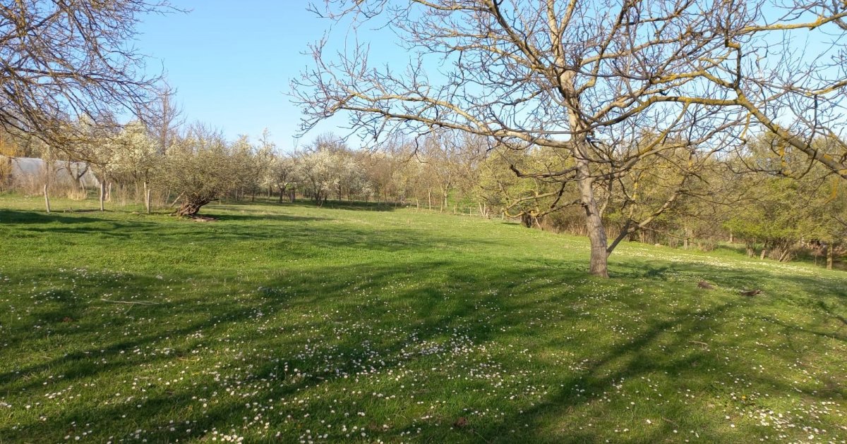 Prodaje imanje na Rtnju za automobil - Telegraf Biznis