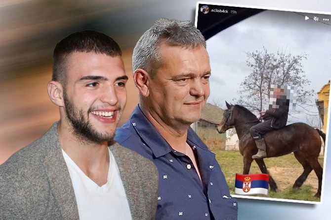 Veljko želi da njegov tast kupi crnog konja - Telegraf.rs