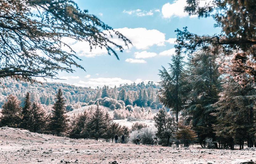 Ifran je poznati zimski centar u Maroku - Ona.rs