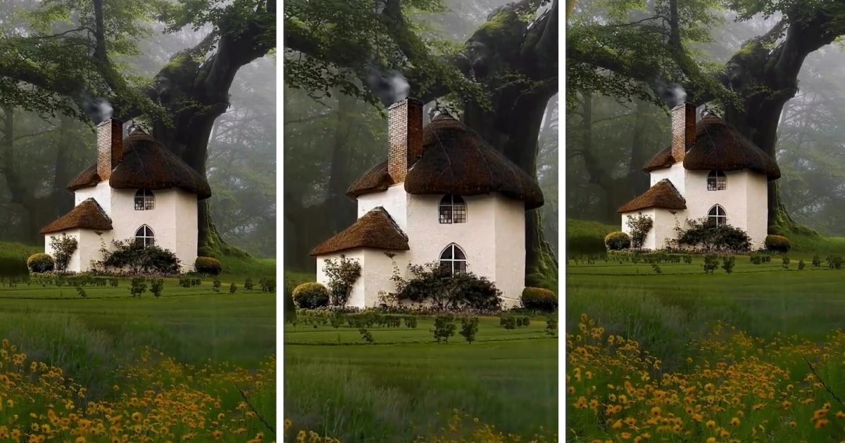 Ovako Izgleda Kućica Iz Mašte Telegrafrs