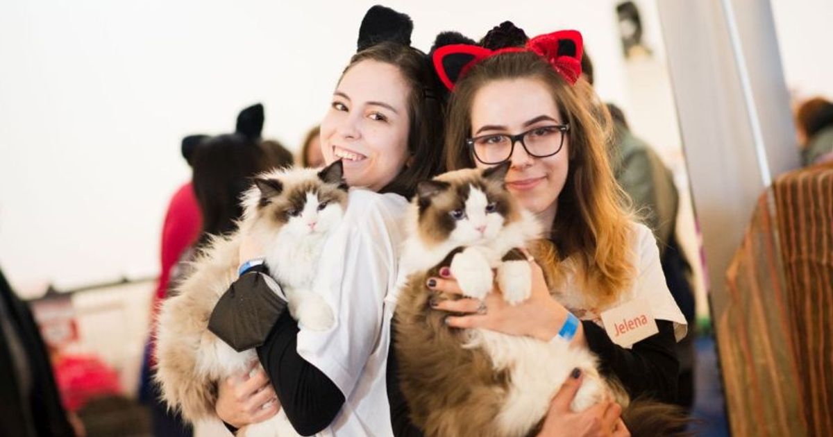 Mrnjau Fest 2023 - Ljubimci Telegraf