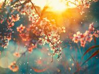 Telegraf.rs - Najnovije vesti