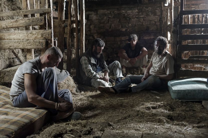 TV premijera filma "Žuta kuća" na RTS-u - Telegraf.rs