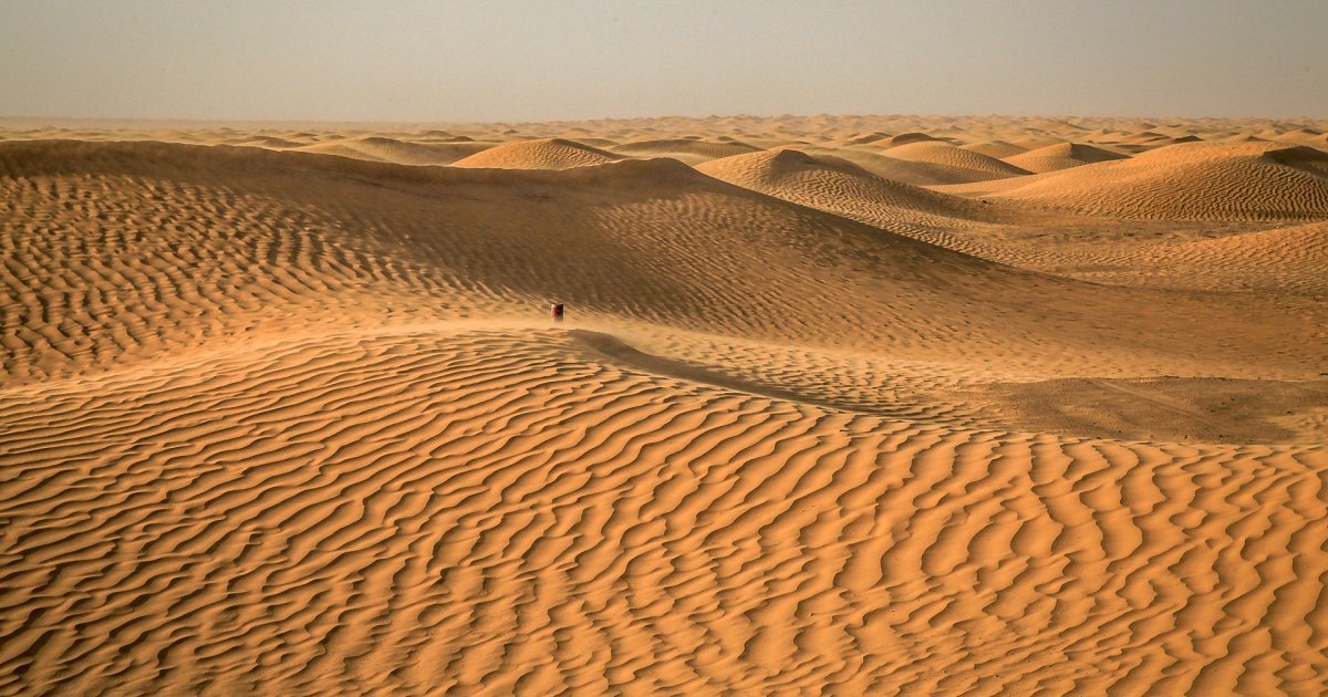 Najveća svetska pustinja Sahara pre 8.000 godina bila je zelena - Nauka ...