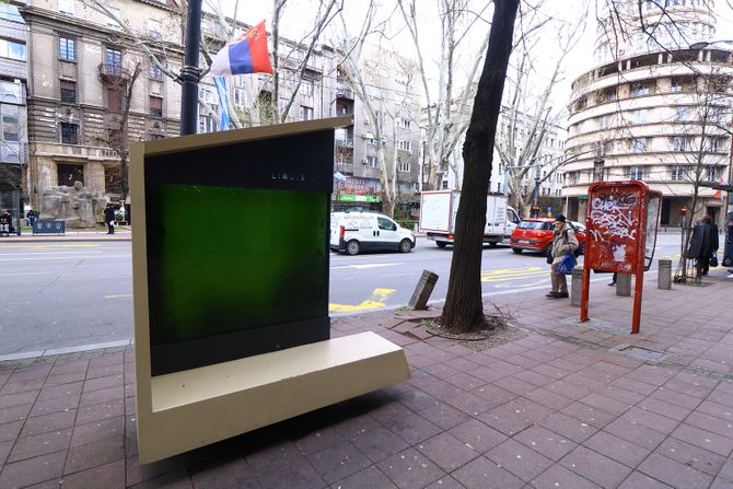 Tečno drvo ispred zgrade opštine Stari grad - Telegraf.rs