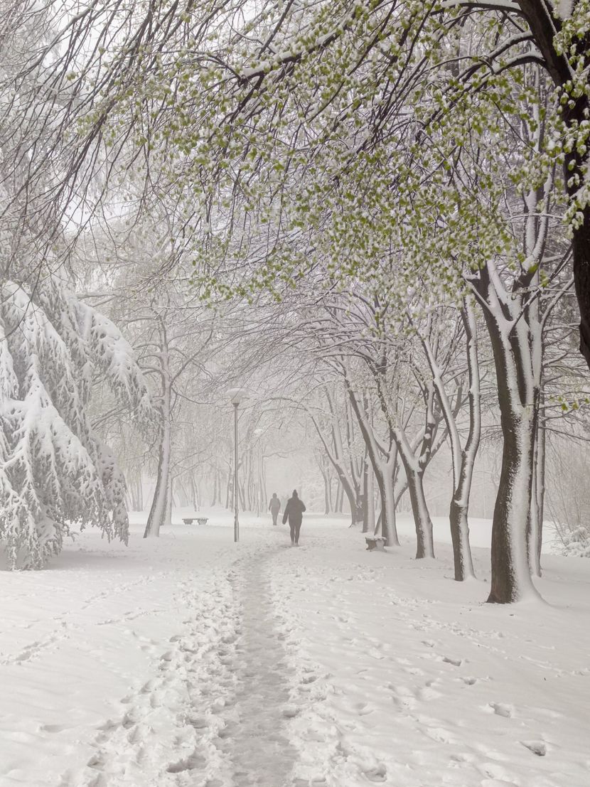 Sneg u maju, da i to je moguće: Najčešće pada u ovim delovima Srbije, u ...