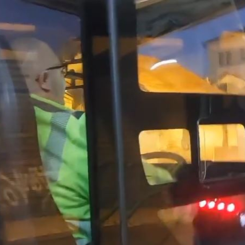 Žurka u beogradskom autobusu na liniji 46 - Telegraf.rs