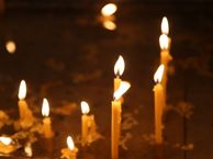 Telegraf.rs - Najnovije vesti