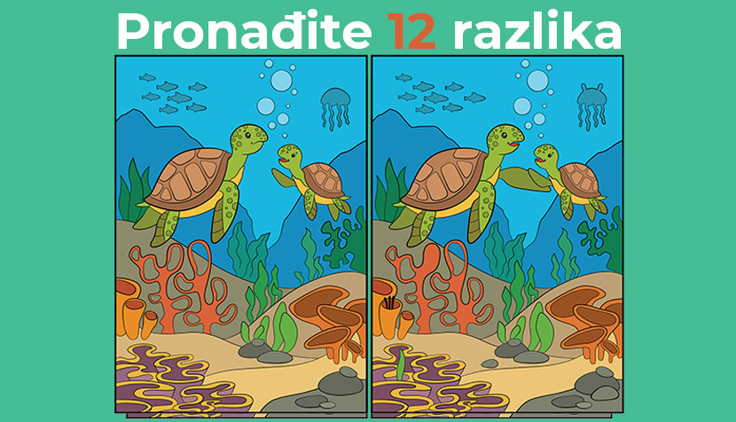 Pronađite razliku između ilustracija - Telegraf.rs