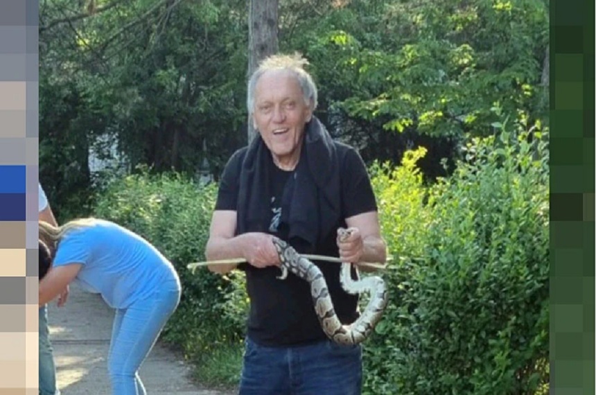 Owner of escaped python found - Telegraf.rs