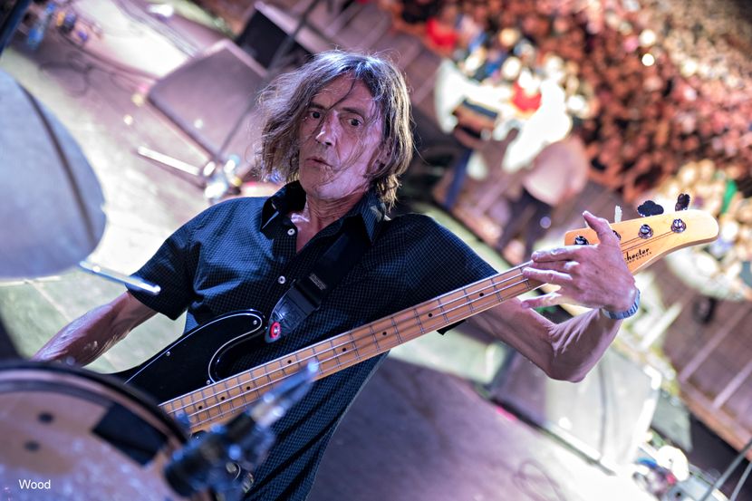 Zoran Radomirović Švaba, intervju za Telegraf.rs - Telegraf.rs