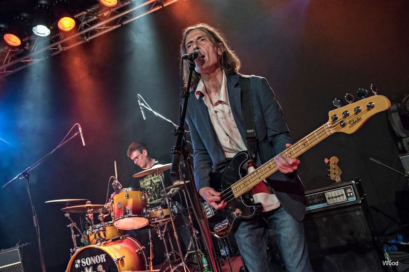 Zoran Radomirović Švaba, intervju za Telegraf.rs - Telegraf.rs