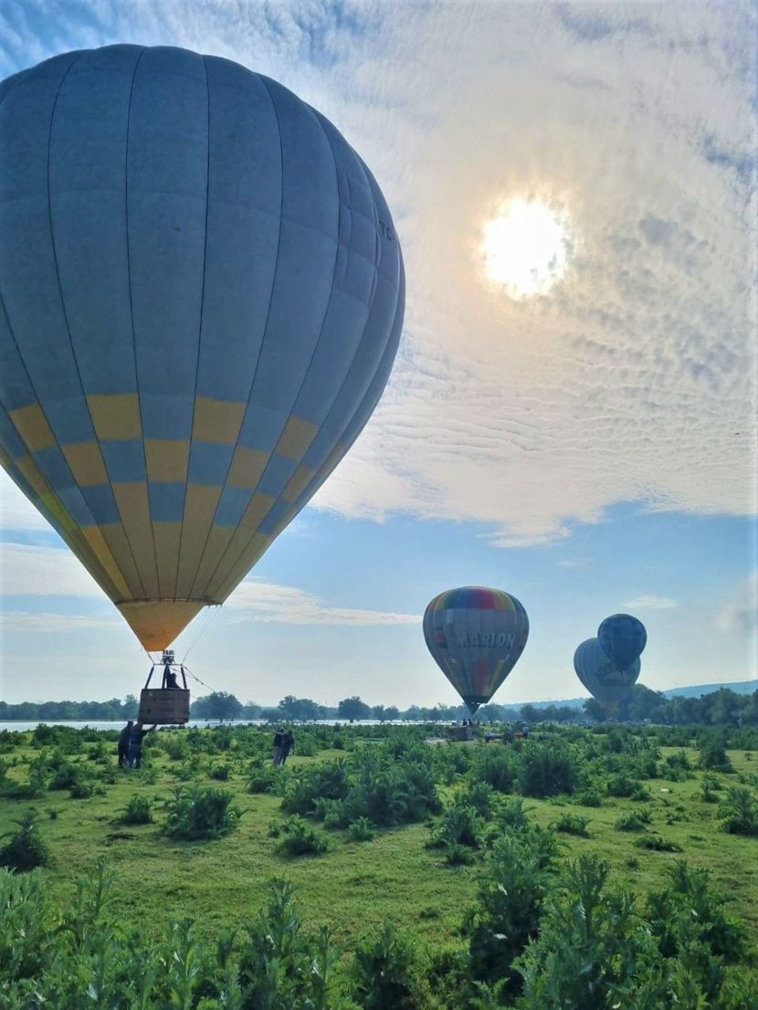 Letenje balonom, Krčedinska ada, Inđija - Ona.rs