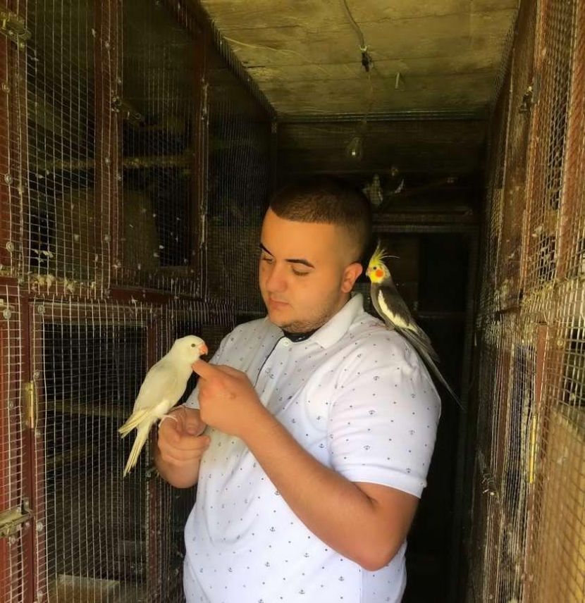 Darko Paunovski odgajivač papagaja iz Jabuke kod Pančeva - Ljubimci Telegraf
