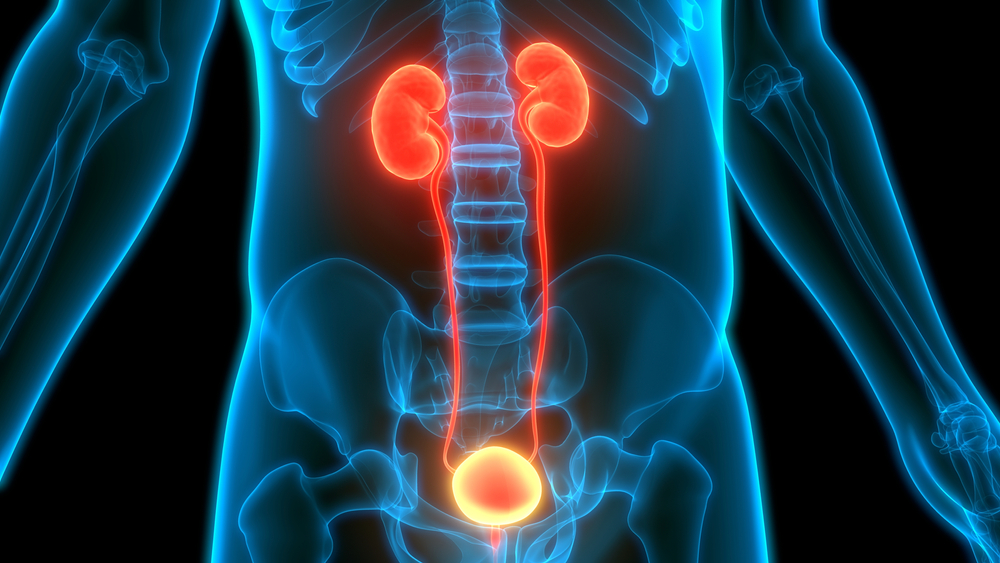 Medicinski „mikroroboti“ mogli bi jednog dana lečiti zapaljenje bešike ...