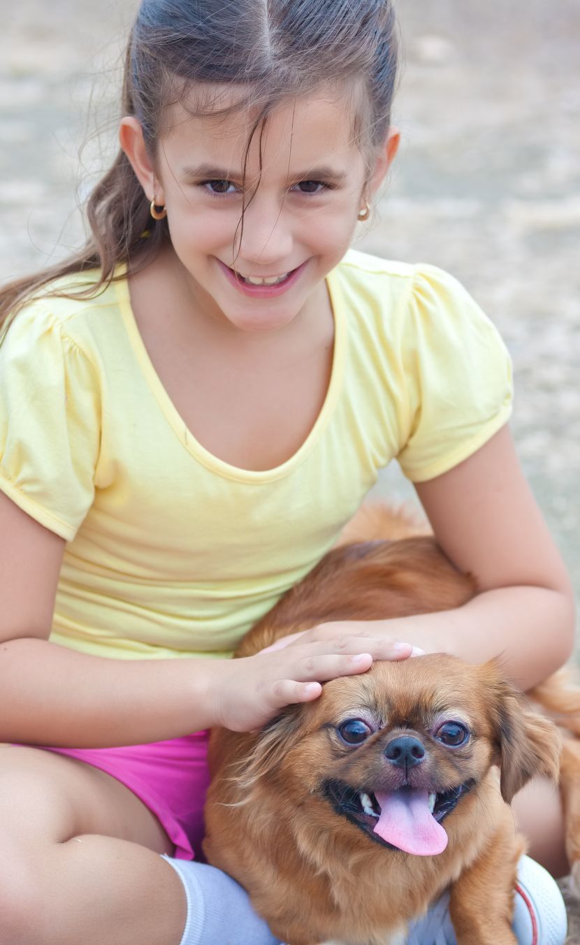 12 rasa pasa koji nisu najbolji izbor za porodice sa decom - Ljubimci ...