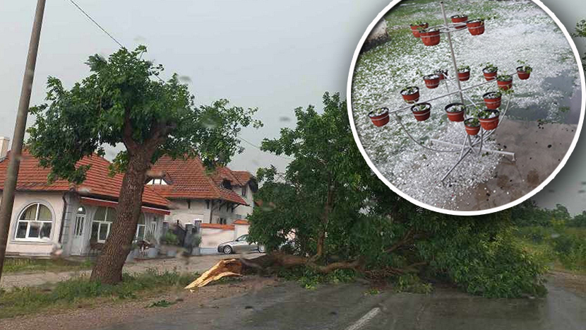 Tukao grad kao lešnik, meštani gledali kako pustoši voćnjake - Telegraf.rs
