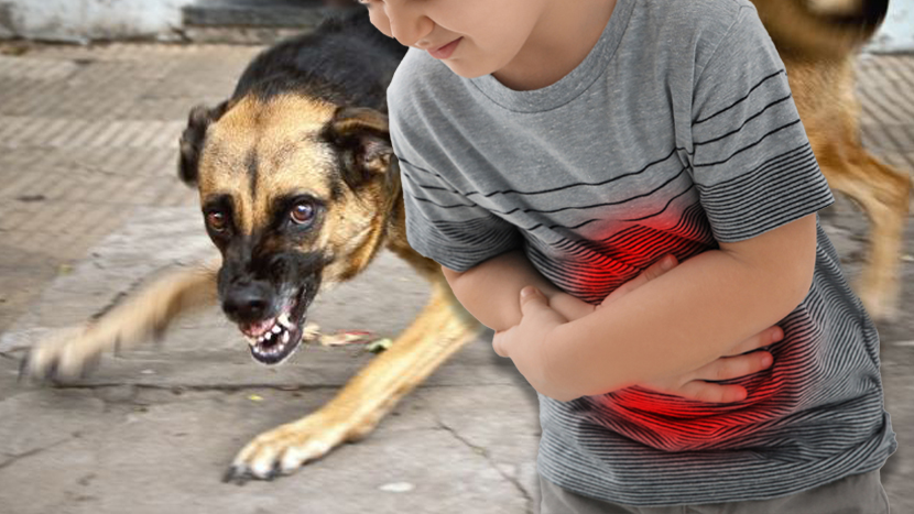 Strašna statistika u Srbiji: Nižu se slučajevi u kojima su psi ...