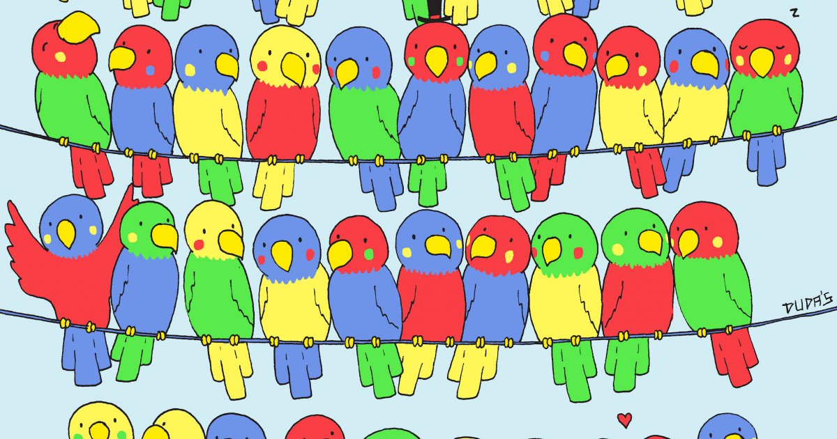 Pronađiti razliku, Dudolf - Telegraf.rs