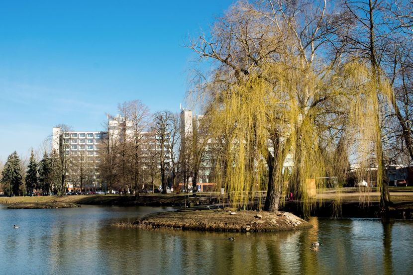 Banja Đula Mađarska - Ona.rs