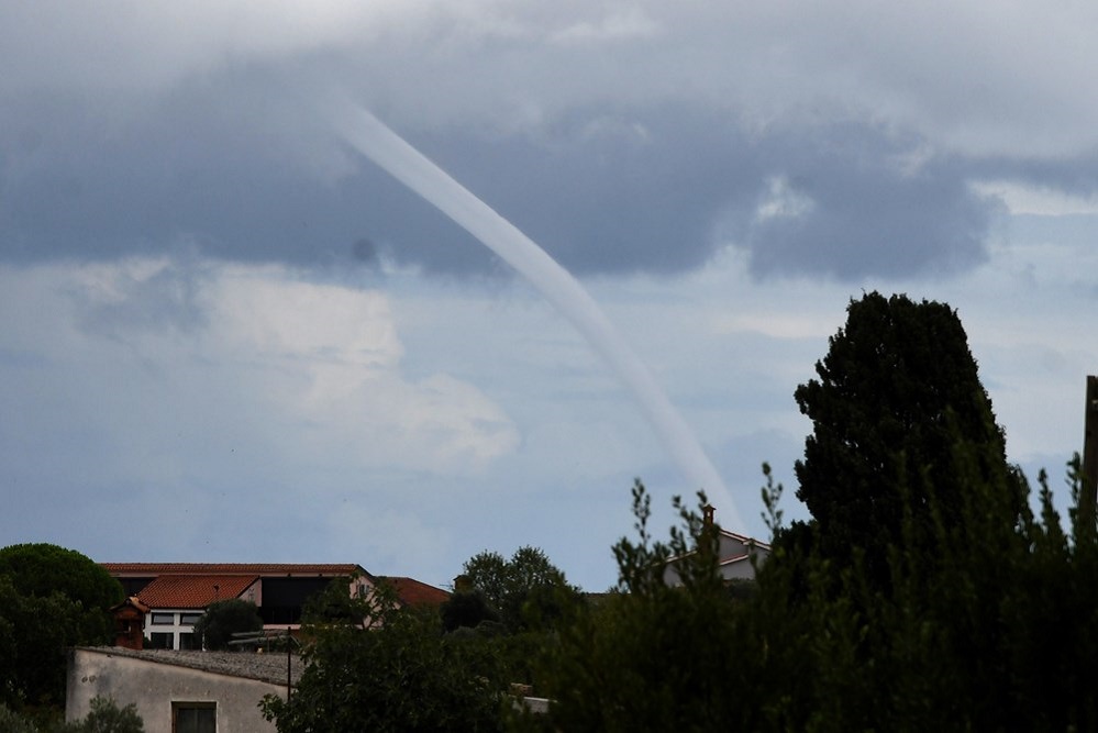Pijavice "divljaju" na Jadranskom moru: Snimljene na više lokacija - Telegraf.rs