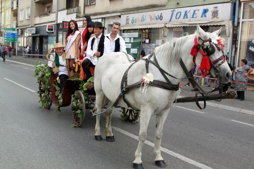 Vozom na Grožđebal u Vršcu - Ona.rs