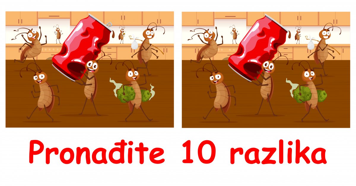 Pronađi razliku između dve ilustracije mrava - Telegraf.rs