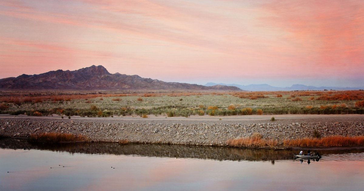 Sablasna scena zgranula putnike u vozu: Da li je ovo konačan dokaz da Bigfut postoji? - Telegraf.rs