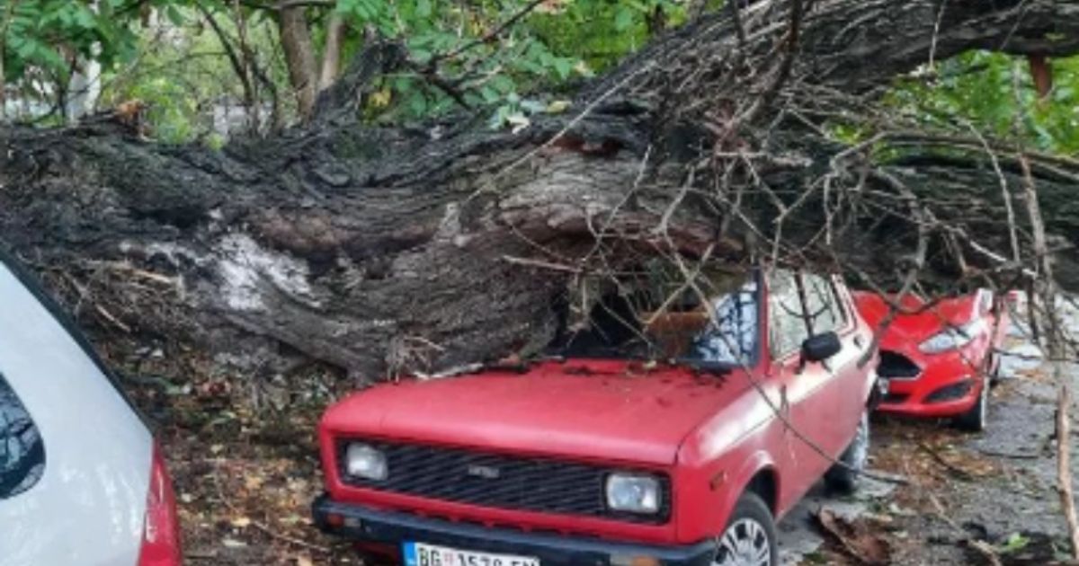 Oluje će biti snažne! Očekujte grad i olujni vetar u zonama najjačih ...