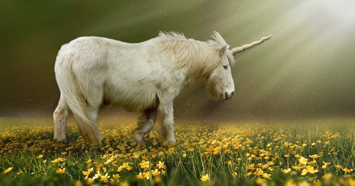 Jednorog mit ili istina - Ljubimci Telegraf