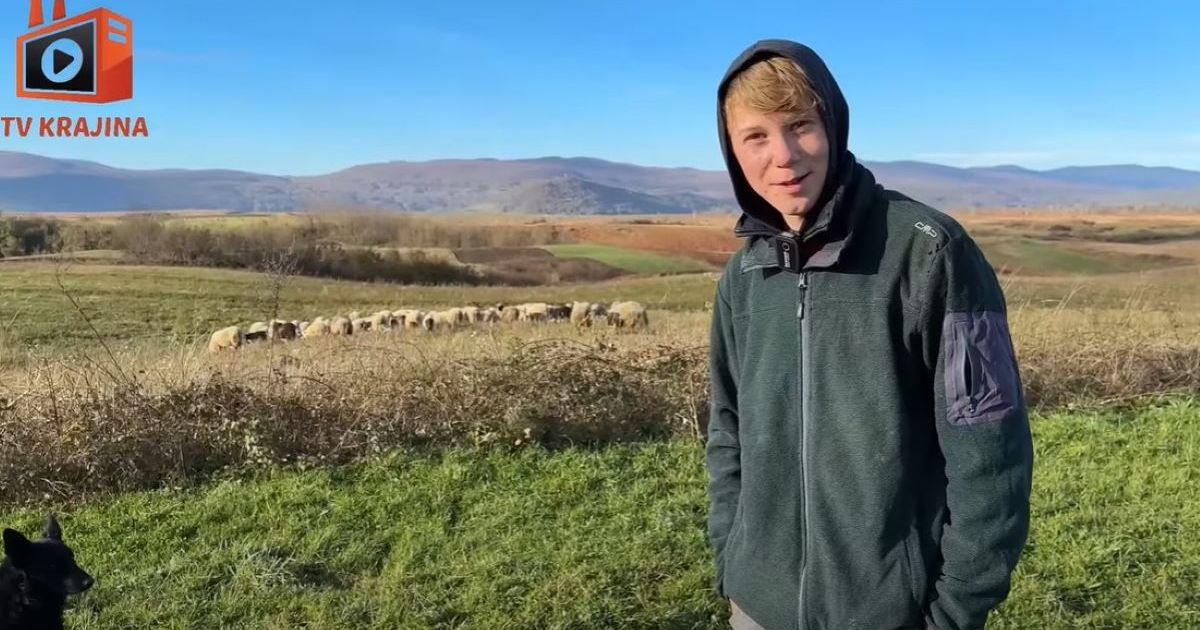"Misle da su face što idu u kafiće, odu pare pa rintaj dalje": Almin je ...