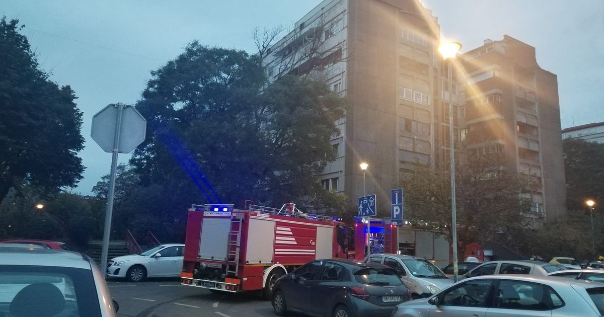 Požar u Bloku 29 na Novom Beogradu - Telegraf.rs