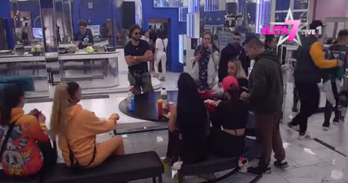 Hitna dikvalifikacija u Zadruzi - Telegraf.rs