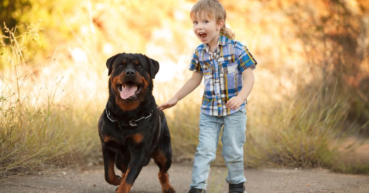 Rase pasa koje se ne preporućuju porodicama sa decom - Ljubimci Telegraf